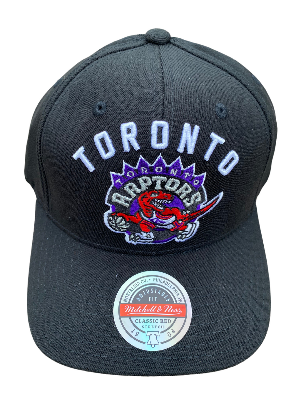 Toronto Raptors Snapback Hat – Famous Rock Shop