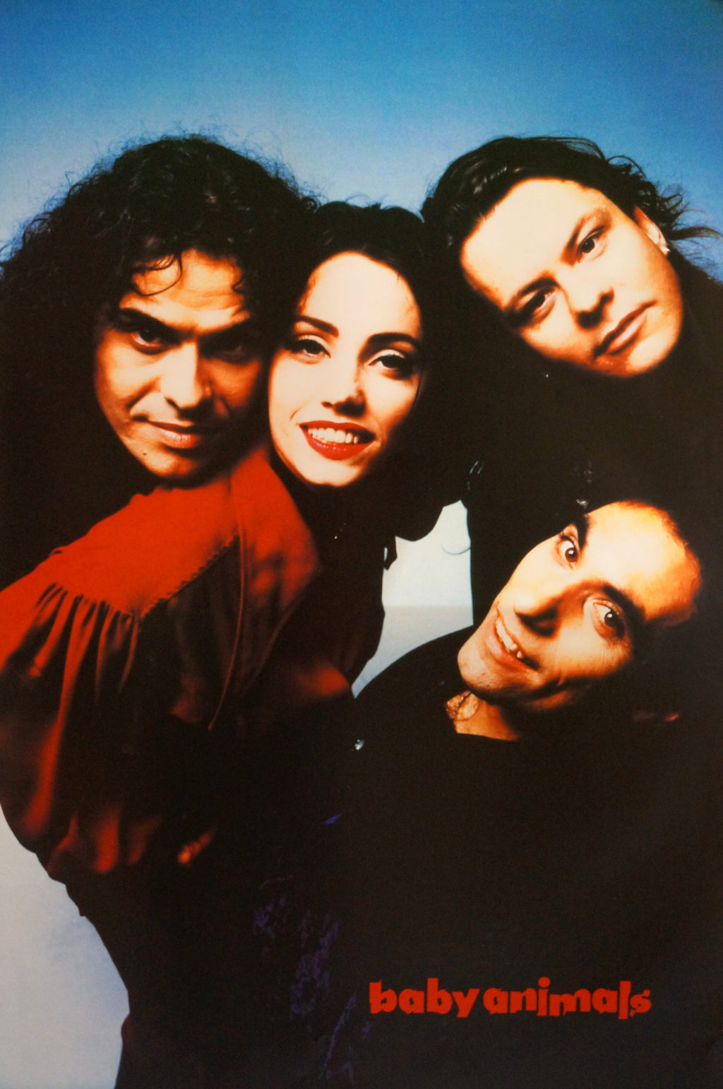 Baby Animals Poster – Famous Rock Shop